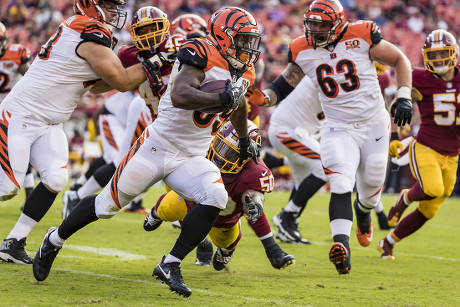 Cincinnati Bengals Running Back Jarveon Williams Editorial Stock Photo ...