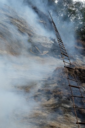 Tribesmen Climb Rope Ladders Get Honey Editorial Stock Photo - Stock ...