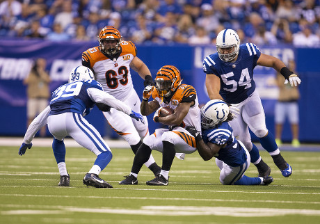 Cincinnati Bengals Running Back Jarveon Williams Editorial Stock Photo ...