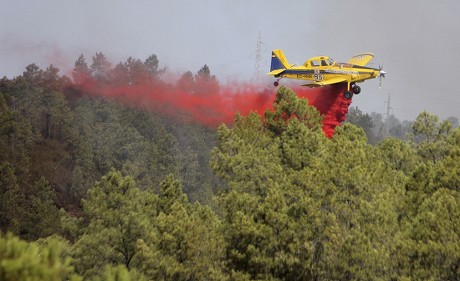 Plane Works On Extincition Forest Fire Editorial Stock Photo - Stock Image | Shutterstock