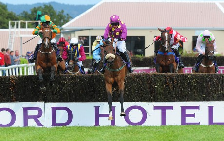 Wexford Rated Barry Oneill Purple Jump Editorial Stock Photo - Stock ...