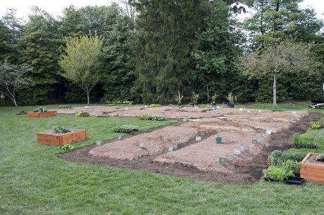 Michelle Obamas White House Vegetable Garden Editorial Stock Photo ...