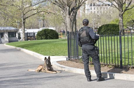 White House Us Secret Service K9 Editorial Stock Photo - Stock Image ...