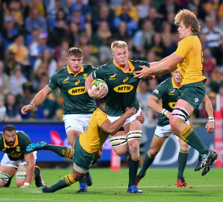 Pietersteph Du Toit Hands Off Ned Editorial Stock Photo - Stock Image ...