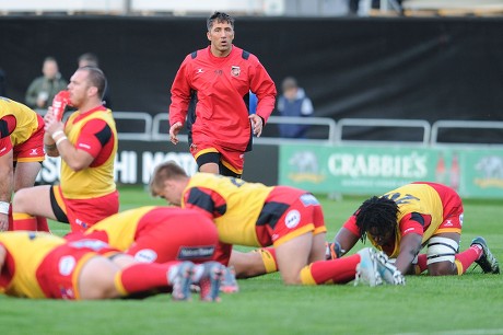 Dragons Team Warms Ahead Guinness Pro Editorial Stock Photo - Stock ...