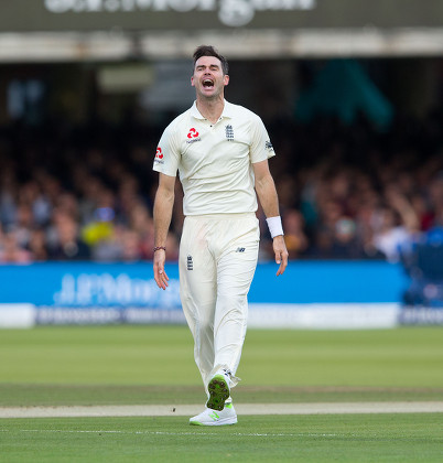 Englands James Jimmy Anderson Celebrates Wicket Editorial Stock Photo ...