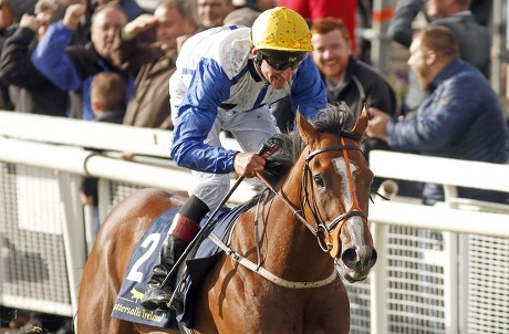 Snazzy Jazzy Adam Kirby Wins Tattersalls Editorial Stock Photo - Stock ...