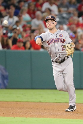 Houston Astros Third Baseman Alex Bregman Editorial Stock Photo - Stock ...