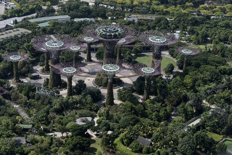Solarpowered Supertrees Supertree Grove Gardens By Editorial Stock ...