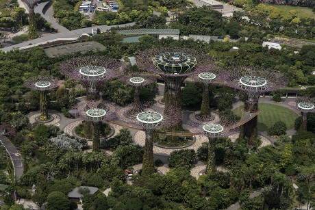 Manmade Solarpowered Supertrees Gardens By Bay Editorial Stock Photo ...