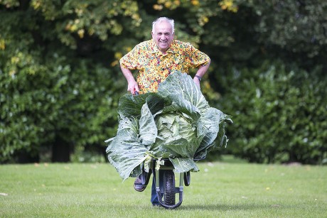 Ian Neale His Prize Winning Cabbage Editorial Stock Photo - Stock Image ...