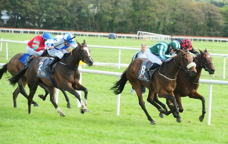 Listowel Lady Camelot Shane Foley Left Editorial Stock Photo - Stock ...