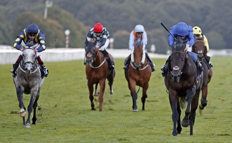 Game Starter Oisin Murphy Wins Marra Editorial Stock Photo - Stock ...