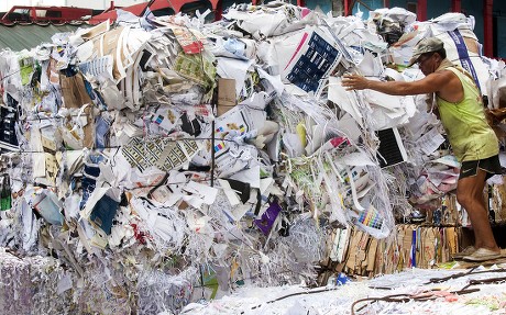 Worker Stacks Waste Paper Cardboard Recycling Editorial Stock Photo ...