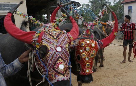 Cambodian villagers celebrate Ancestor's Day with local customs and ...