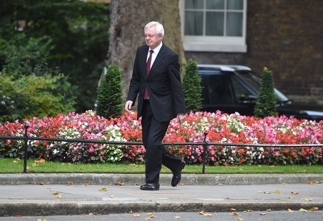 David Davis Editorial Stock Photo - Stock Image | Shutterstock
