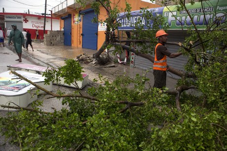 Man Cuts Fallen Tree After Hurricane Editorial Stock Photo - Stock ...