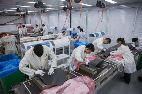 Employees Work Airbus Composite Manufacturing Centre Editorial Stock ...