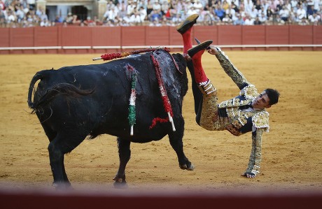 Alejandro Talavante Editorial Stock Photo - Stock Image | Shutterstock