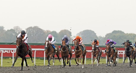 Teppal Jamie Spencer Wins Matchbook British Editorial Stock Photo ...