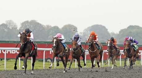 Teppal Jamie Spencer Wins Matchbook British Editorial Stock Photo ...