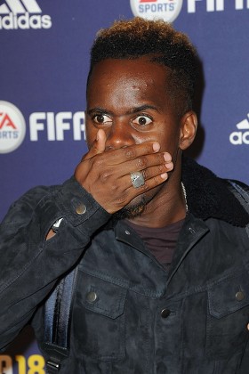 Camille Lacourt Teddy Riner Editorial Stock Photo - Stock Image ...