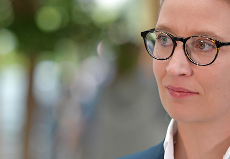 Alice Weidel One Two Cotop Candidates Editorial Stock Photo - Stock ...
