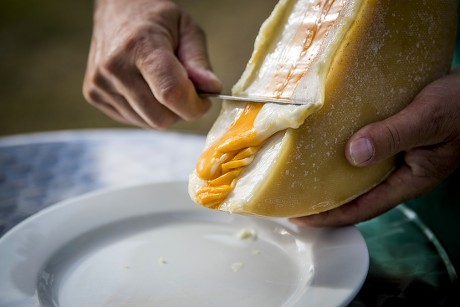 53 Cheese types Stock Pictures, Editorial Images and Stock Photos ...