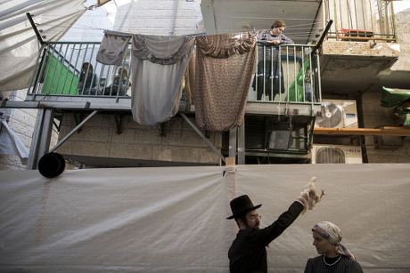 Kaparot ritual performed in Jerusalem ahead of Yom Kippur, Israel - 27 ...