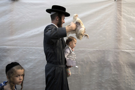 Kaparot ritual performed in Jerusalem ahead of Yom Kippur, Israel - 27 ...