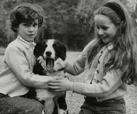 Children 5th Baron Harlech Their Pet Editorial Stock Photo - Stock ...