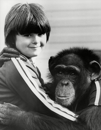 21 Chimp circus Stock Pictures, Editorial Images and Stock Photos ...