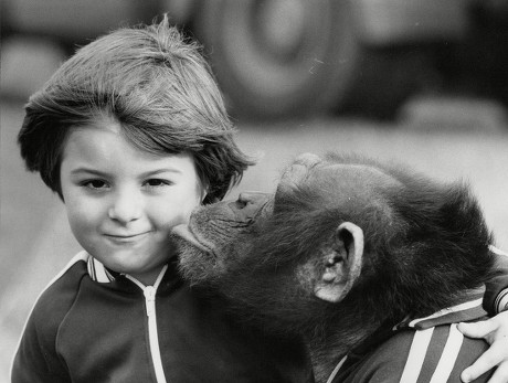 21 Chimp circus Stock Pictures, Editorial Images and Stock Photos ...