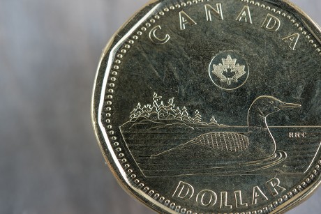 18 Loonie Stock Pictures, Editorial Images and Stock Photos | Shutterstock