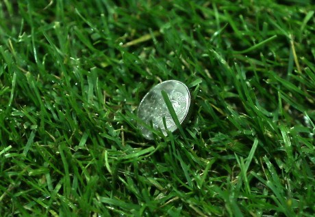 Coin Seen On Pitch Being Thrown Editorial Stock Photo - Stock Image ...