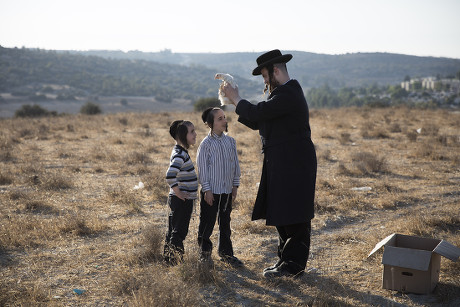 Kaparot ritual performed in Beit Shemesh ahead of Yom Kippur, Israel ...