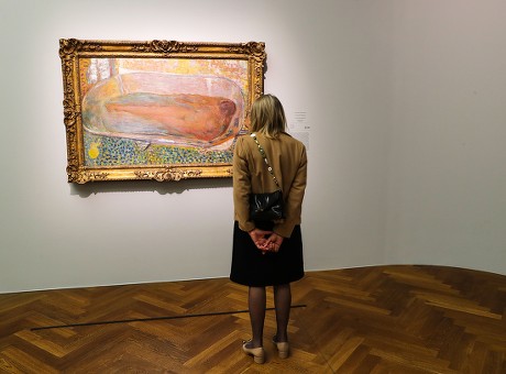 Visitor Attendst Matissebonnard Long Live Painting Editorial Stock ...
