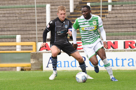 Zoko Yeovil Town Under Pressure Frankie Editorial Stock Photo - Stock ...