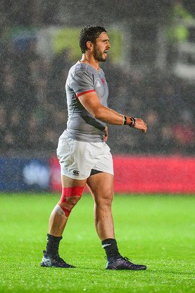 Southern Kings Jacques Nel Editorial Stock Photo - Stock Image ...