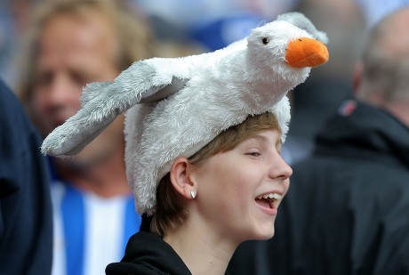Brighton Fan Wears Seagull Hat Editorial Stock Photo - Stock Image ...