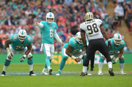 Miami Dolphins Quarterback Jay Cutler 6 Editorial Stock Photo - Stock ...