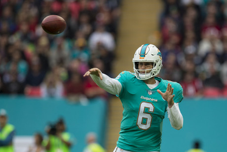 Cutler Jay Miami Dolphins Passes During Editorial Stock Photo - Stock ...