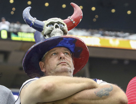 Houston Texans Fan During Nfl Game Editorial Stock Photo - Stock Image ...