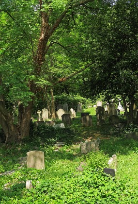 View Quiet Part Old Graveyard Highgate Editorial Stock Photo - Stock ...