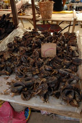 Dried Fish Stall Central Market Capital Editorial Stock Photo - Stock ...