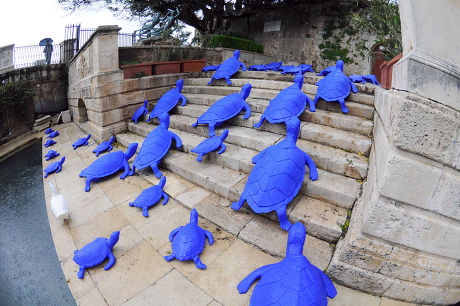 Blue Turtles Fonte Aretusa Syracuse Sicily Editorial Stock Photo ...