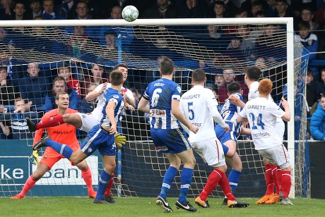 Coleraine Vs Linfield Coleraines Goal Keeper Editorial Stock Photo ...