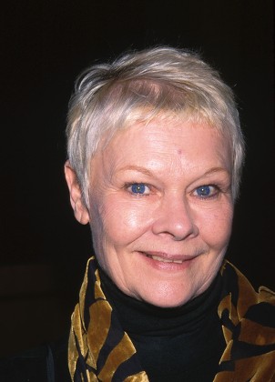 Judi Dench Drama Desk Cockatil Reception Editorial Stock Photo - Stock ...