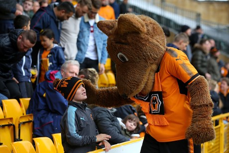 Young Wolverhampton Wanderers Fan Talks Wolfie Editorial Stock Photo ...