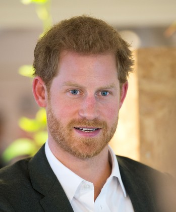 prince harry portraits Stock Photos (Exclusive) | Shutterstock